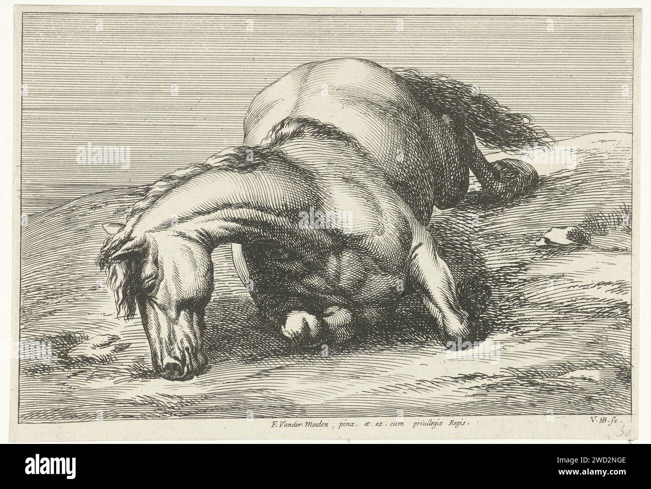 Killed horse lying on the right side, Jan van Huchtenburg, After Adam ...