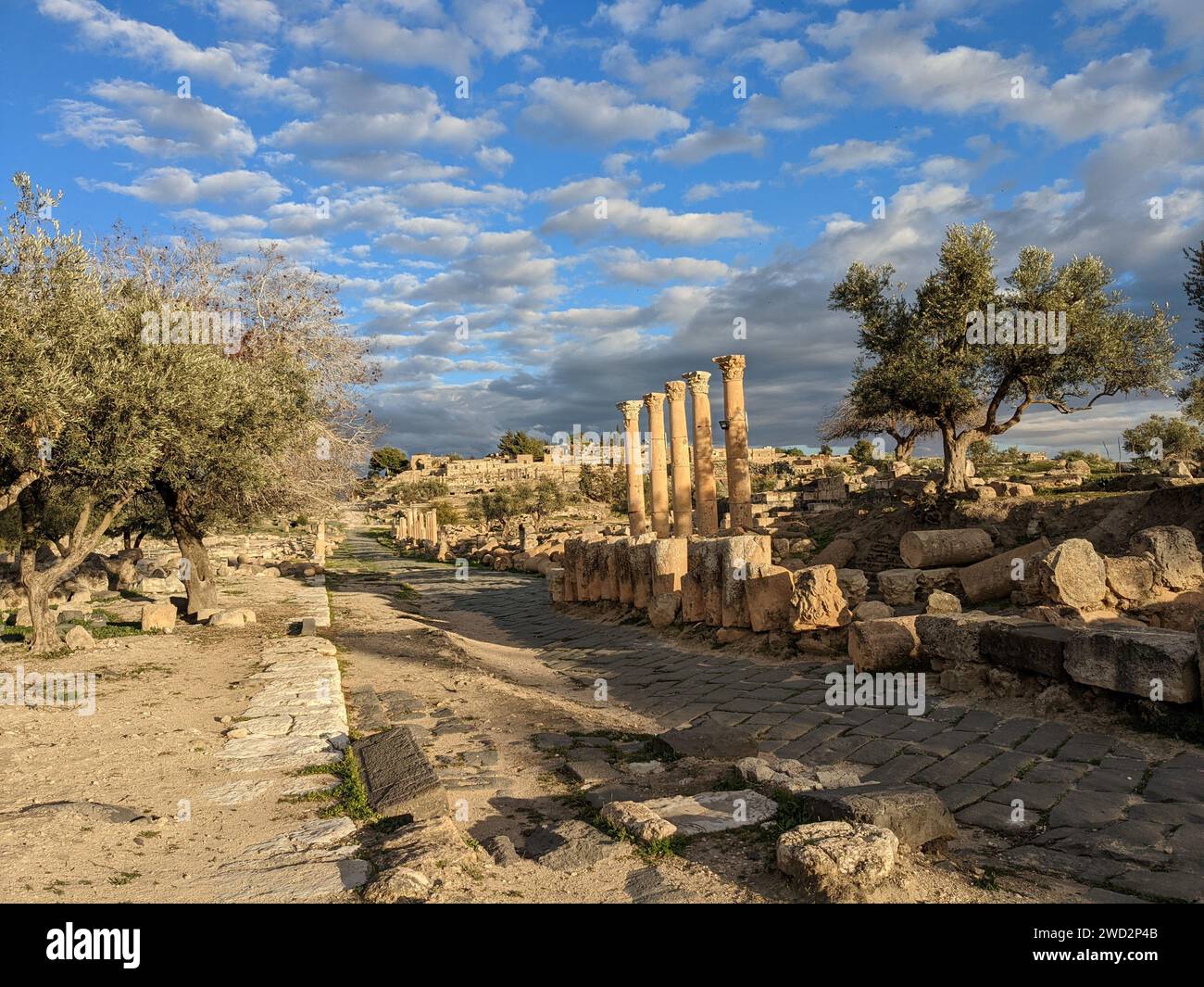 Travelling Jordan.Cultural and natural side of Umm Qais and the ruins ...