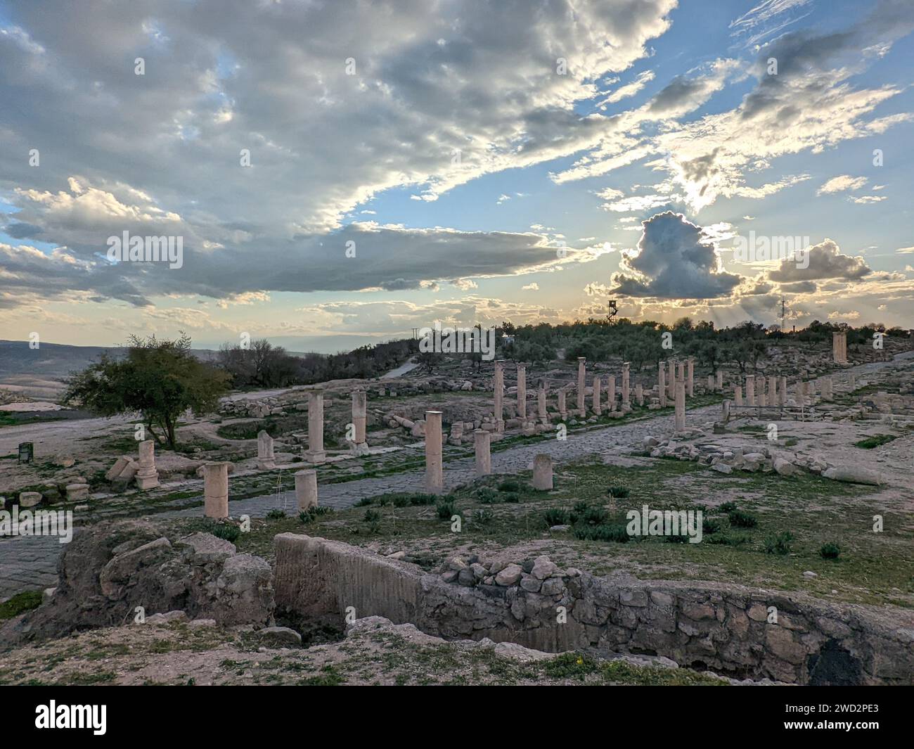 Travelling Jordan.Cultural and natural side of Umm Qais and the ruins ...