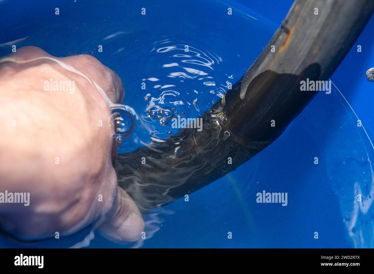 General stock Bicycle repairs. Repairing a puncture. Place the inner ...