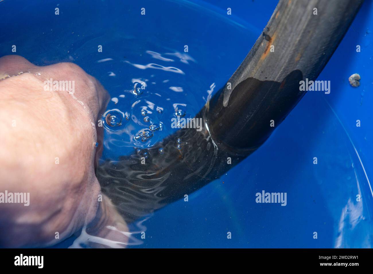 General stock Bicycle repairs. Repairing a puncture. Place the inner ...