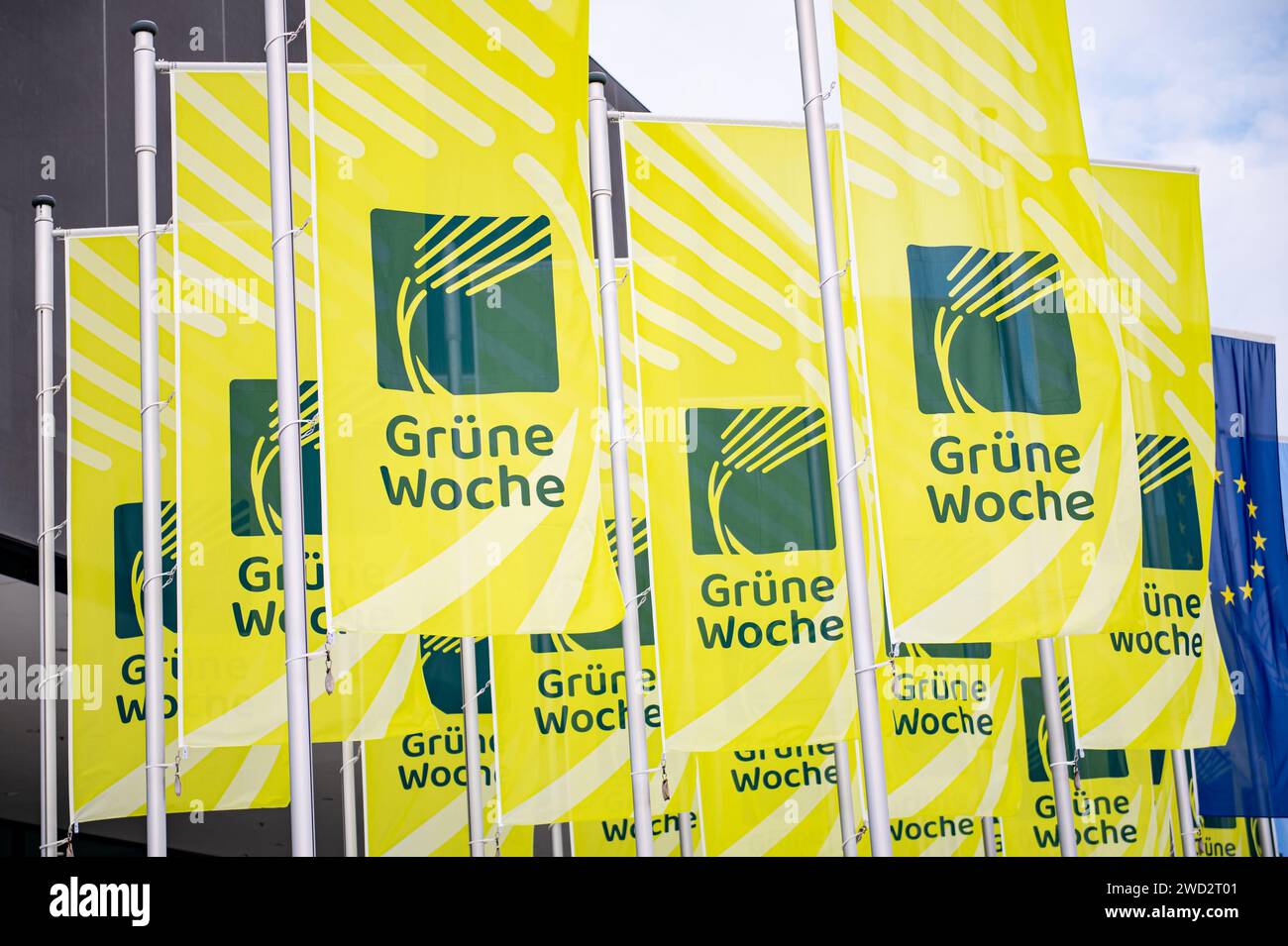 Berlin, Germany. 18th Jan, 2024. Flags with the Green Week logo fly in ...