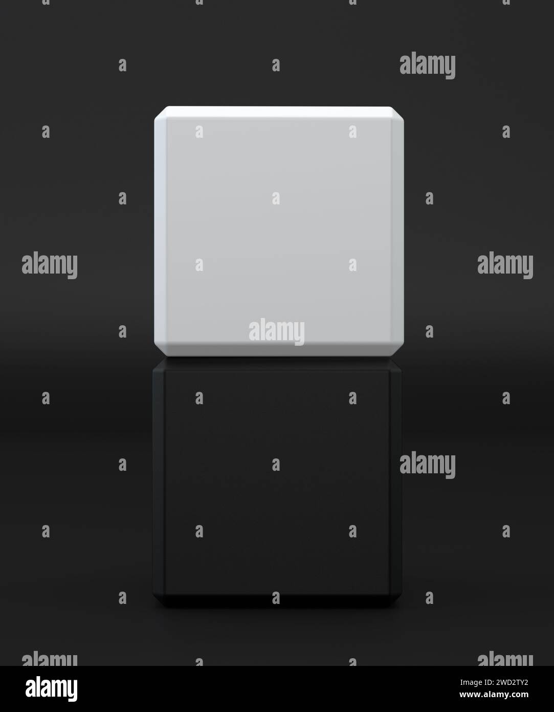 White and black Box. Isolated On black Background. Mock Up Template ...
