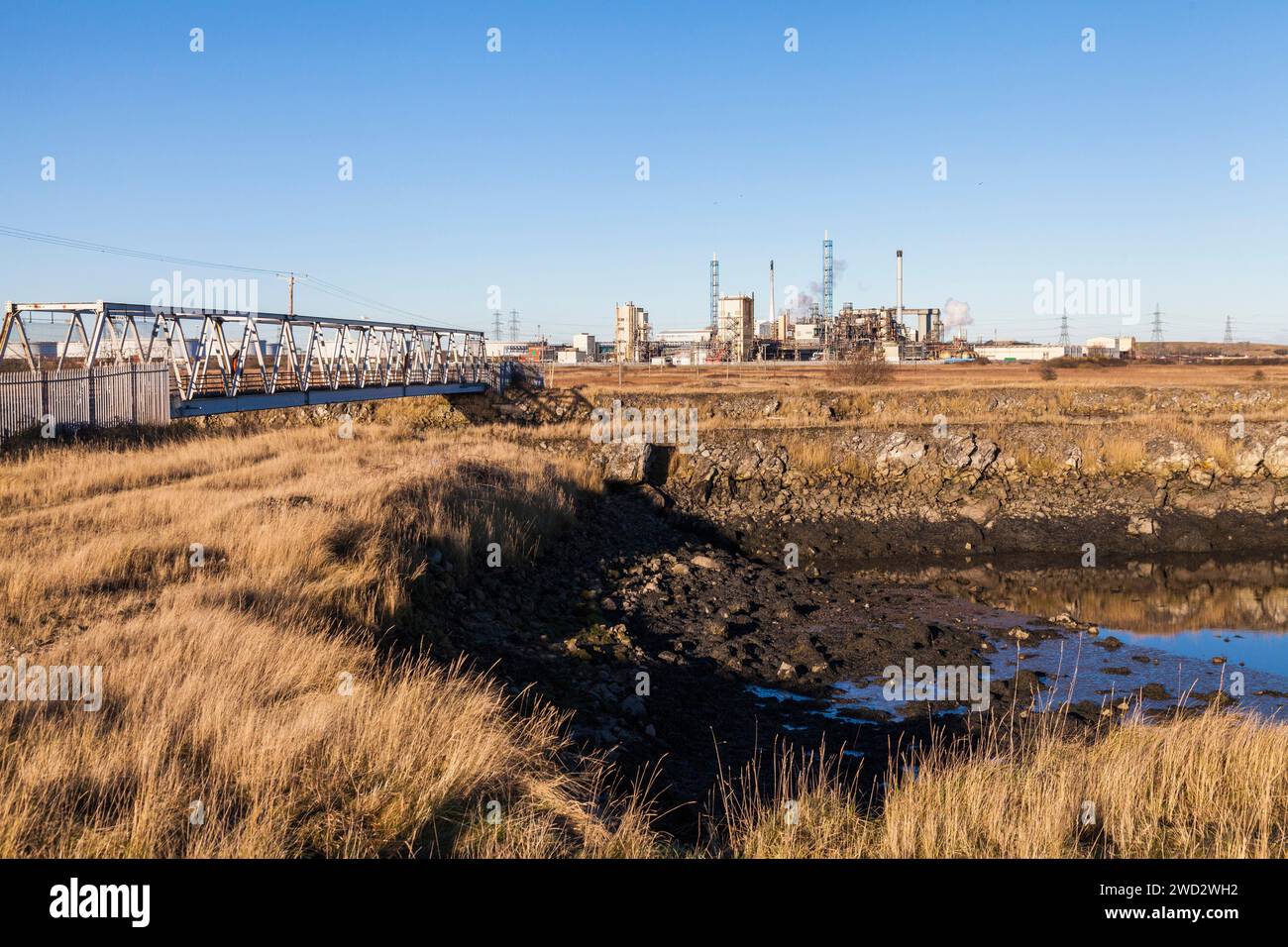 Wildlife paradise in an industrial landscape at Greatham, Seal Sands ...