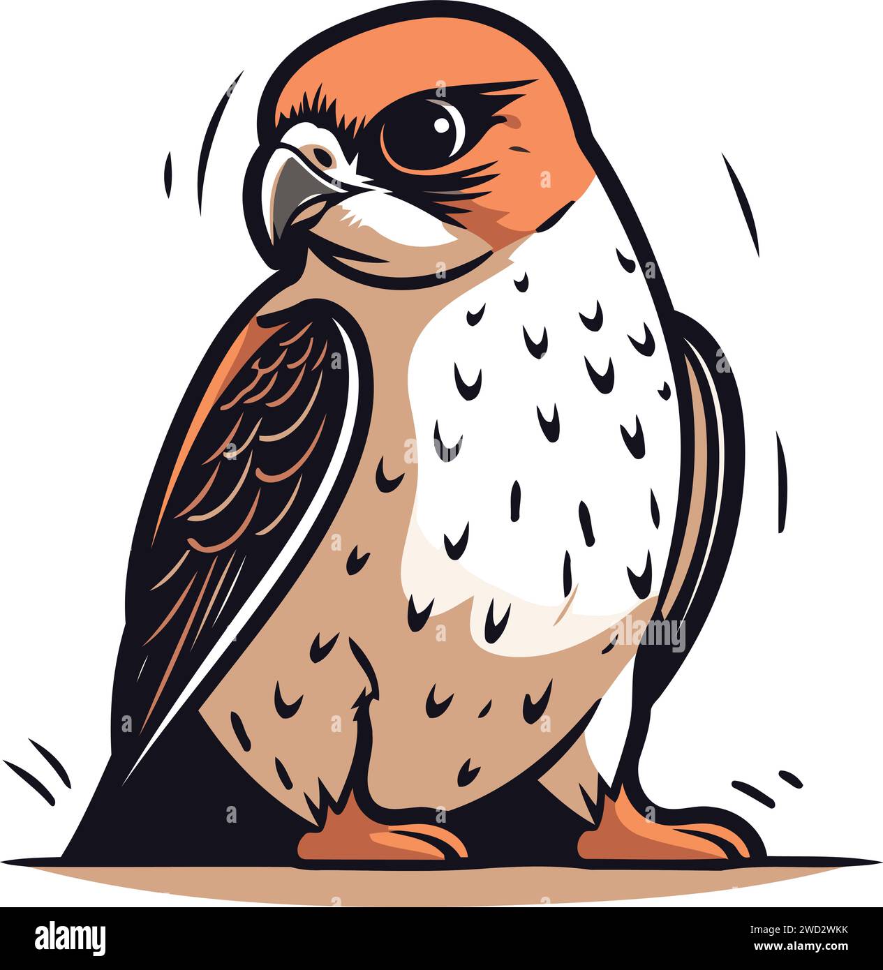 Sparrow hawk drawing Stock Vector Images - Alamy