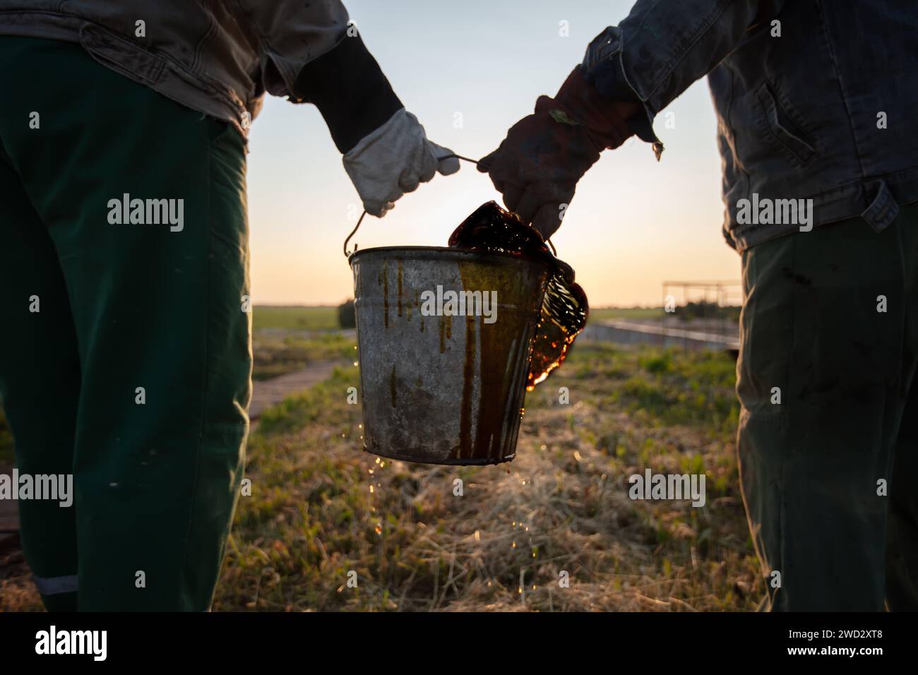 Workers carry a bucket of spilled extracted oil. Discover oil fields ...