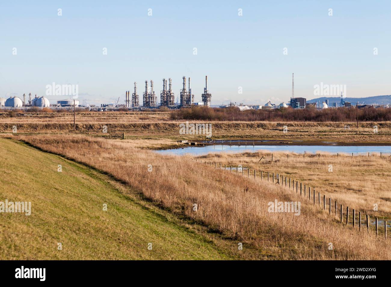 Wildlife paradise in an industrial landscape at Greatham, Seal Sands ...
