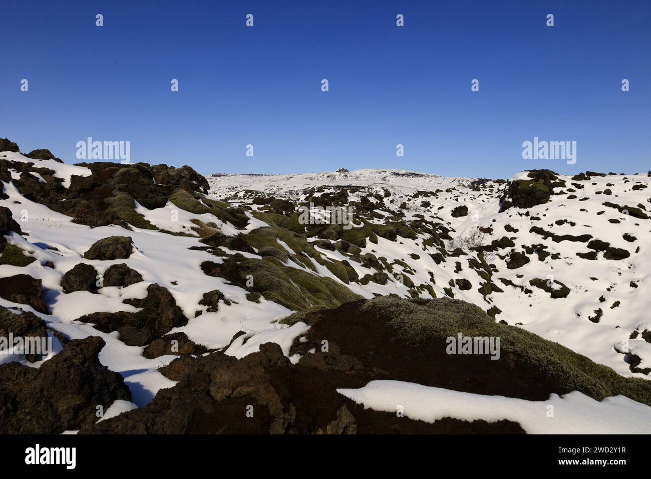 The Eldhraun is a lava flow formed during the eruption of Laki in 1783 ...