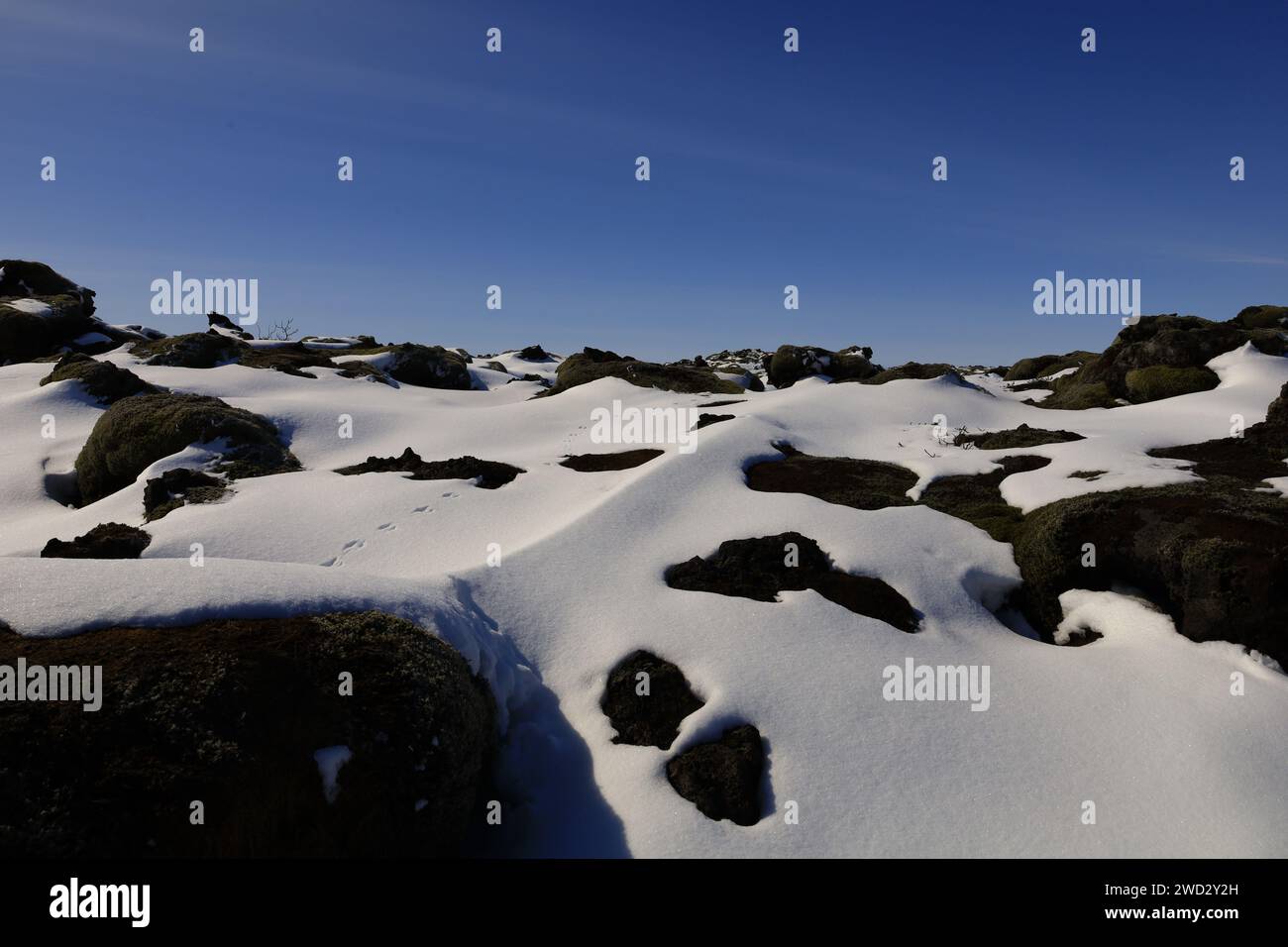 The Eldhraun is a lava flow formed during the eruption of Laki in 1783 ...