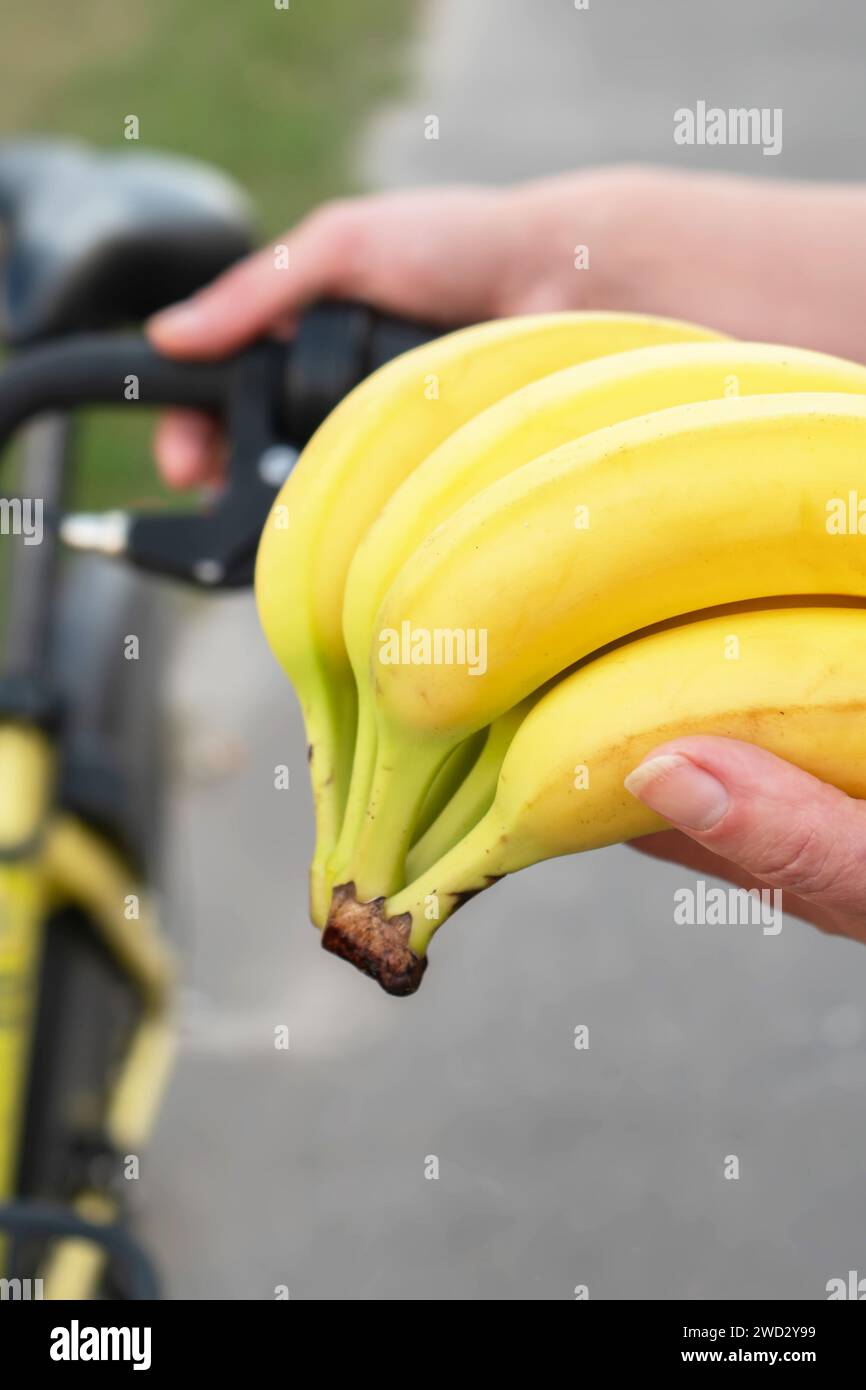 A stack of bananas is held vertically in the hand Stock Photo - Alamy