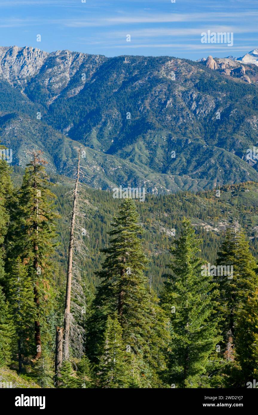 Panoramic Point view toward Kings Canyon, Kings Canyon National Park ...