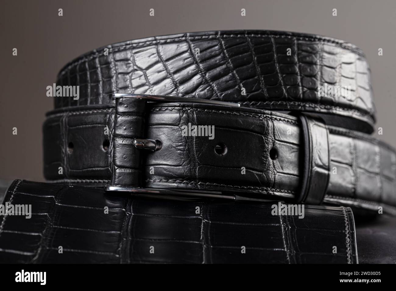 Part of a black crocodile leather belt. Expensive leather goods Stock ...
