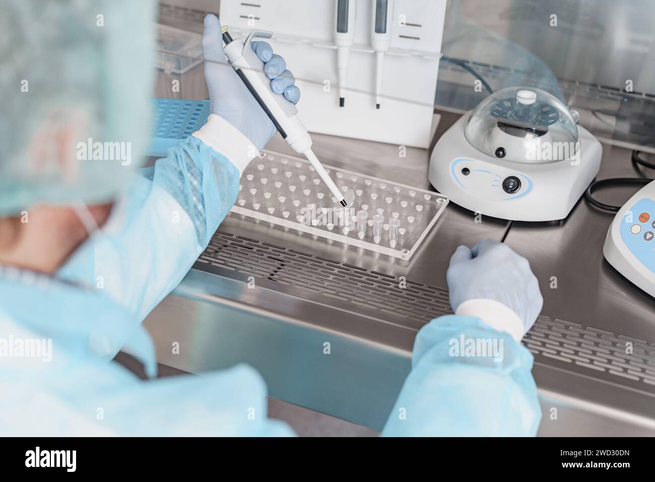 Back view of scientist is using micropipette for biochemical test ...