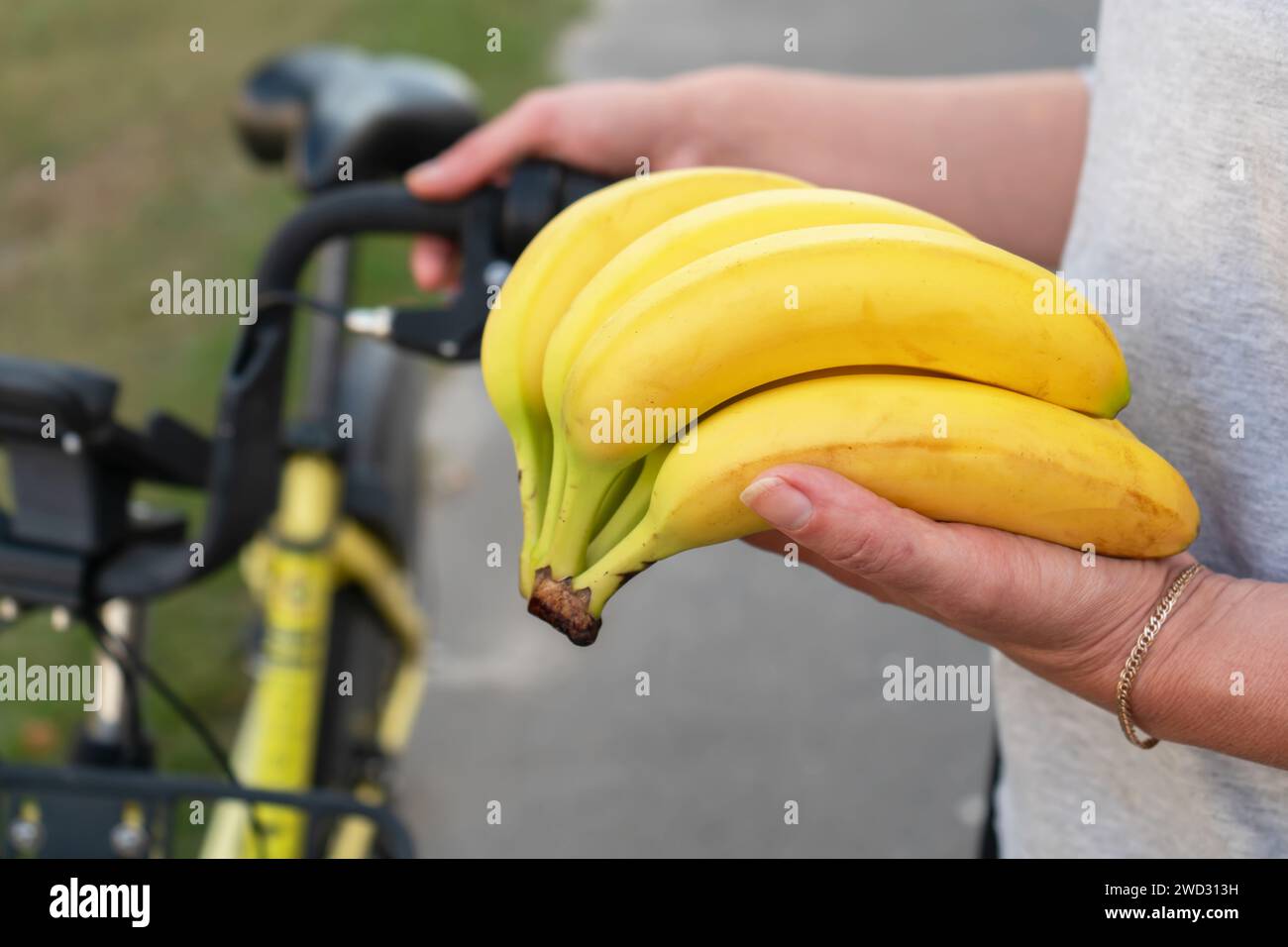 There is a bunch of bananas in her hands. A woman is holding the fruit ...