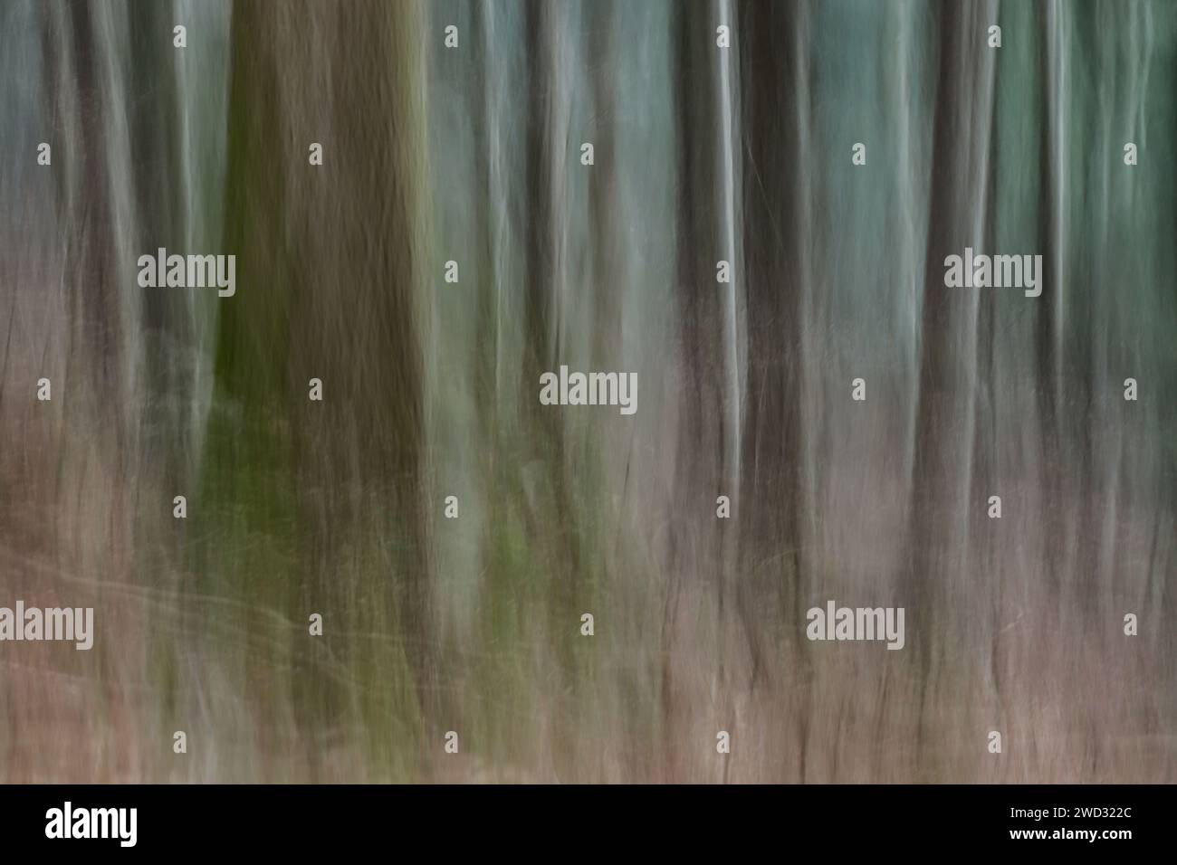 Flou effect hi-res stock photography and images - Alamy