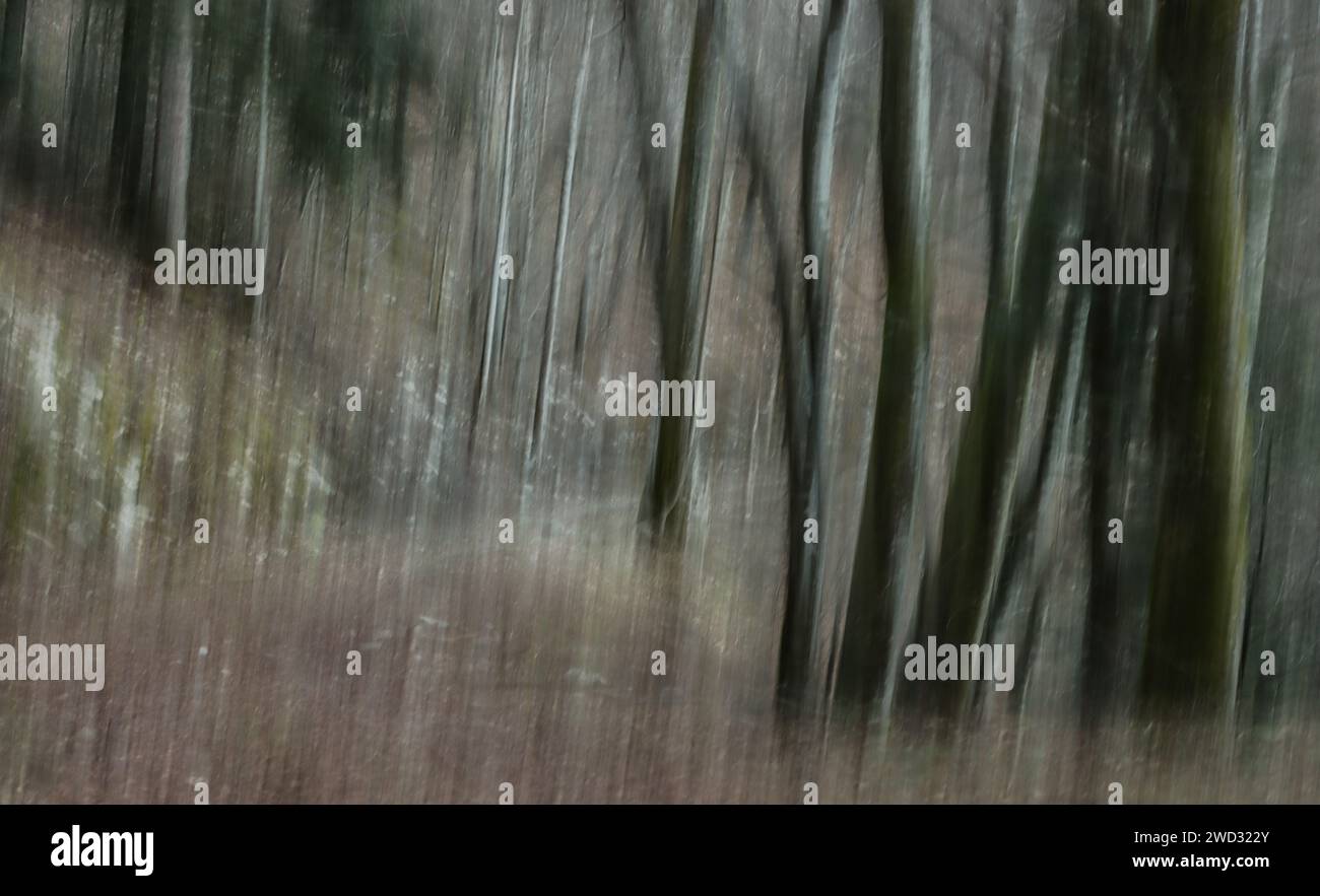 Blurred trees, abstract treatment with motion blur effect, fuzzy forest ...