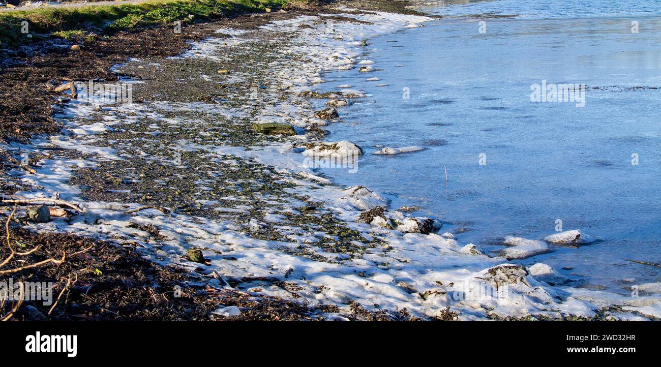 Frozen harbour shoreline in winter. West Cork, Ireland Stock Photo - Alamy
