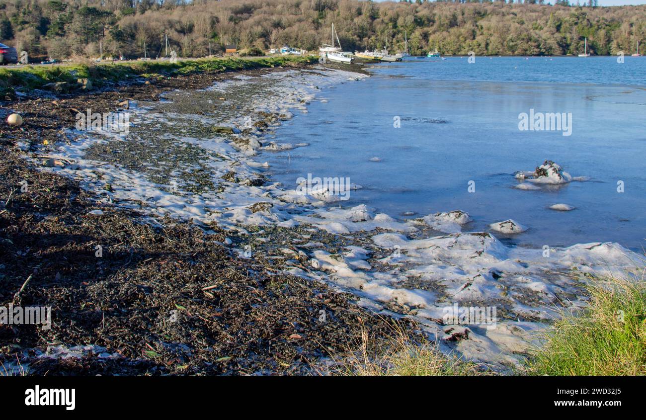 Frozen harbour shoreline in winter. West Cork, Ireland Stock Photo - Alamy