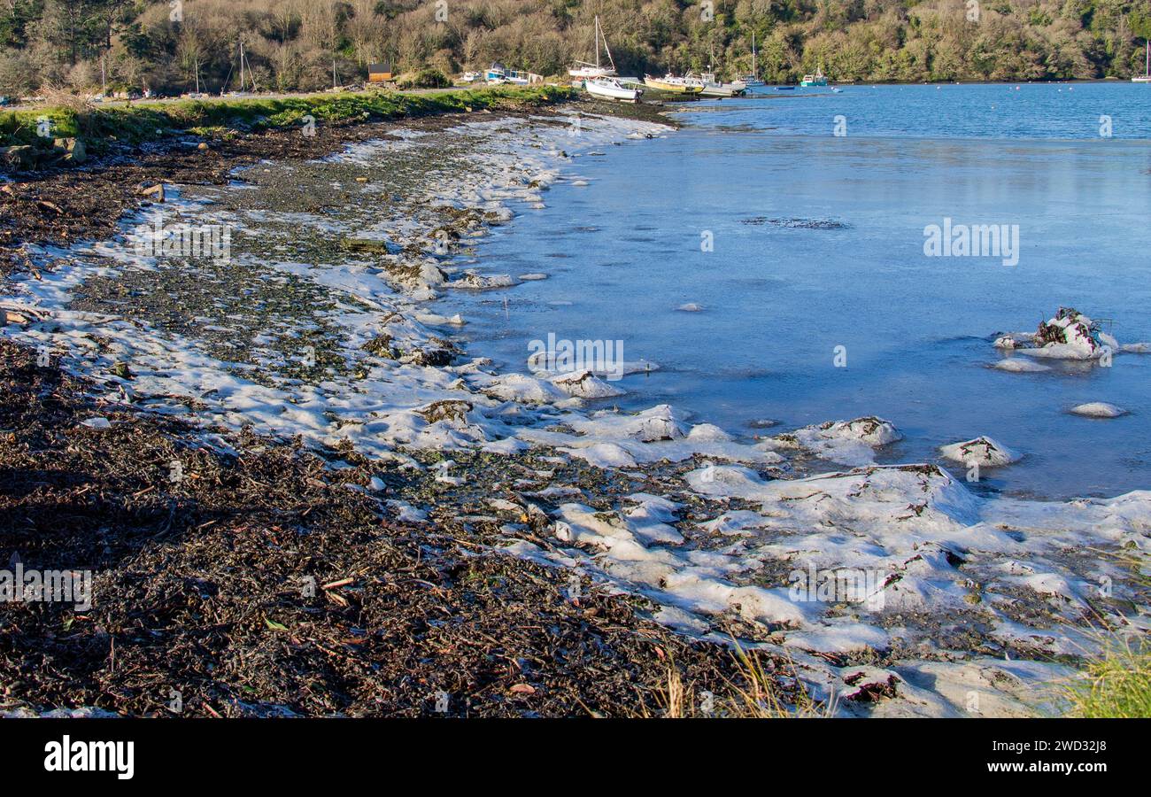 Frozen harbour shoreline in winter. West Cork, Ireland Stock Photo - Alamy