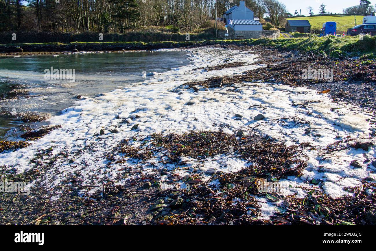 Frozen harbour shoreline in winter. West Cork, Ireland Stock Photo - Alamy