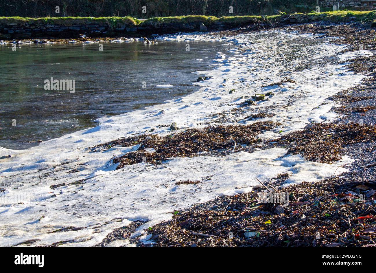 Frozen harbour shoreline in winter. West Cork, Ireland Stock Photo - Alamy