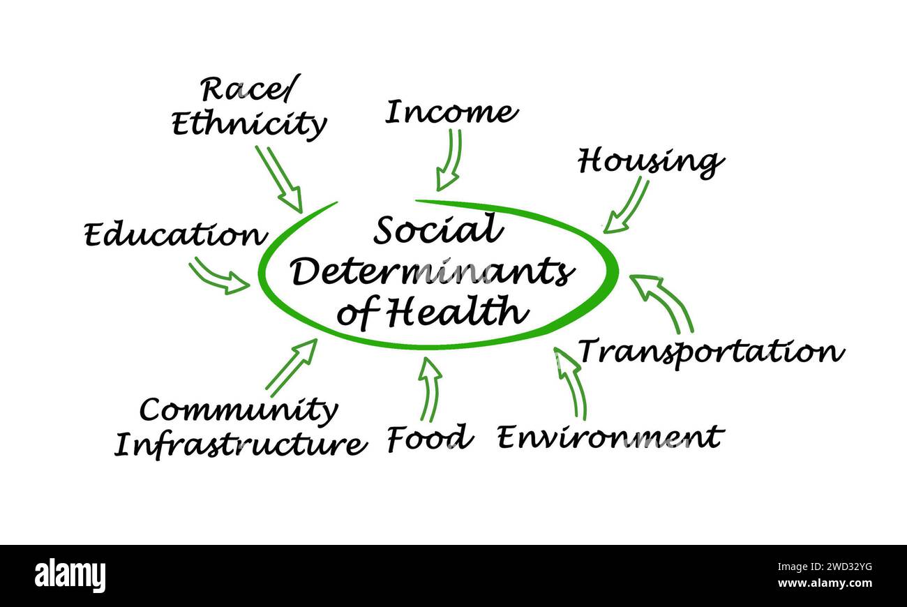 Social determinants of health hi-res stock photography and images - Alamy Social determinants of health hi-res stock photography and images - Alamy