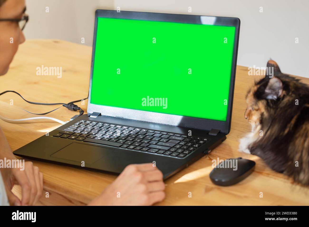 Young woman using her laptop with green screen. She sitting in front of ...