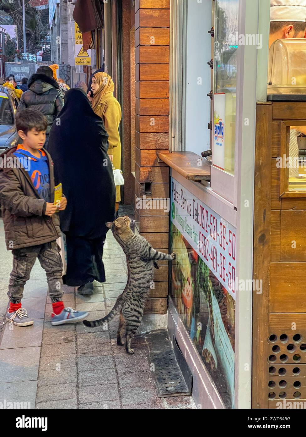 Daily routine for cat 2023 hi-res stock photography and images - Alamy