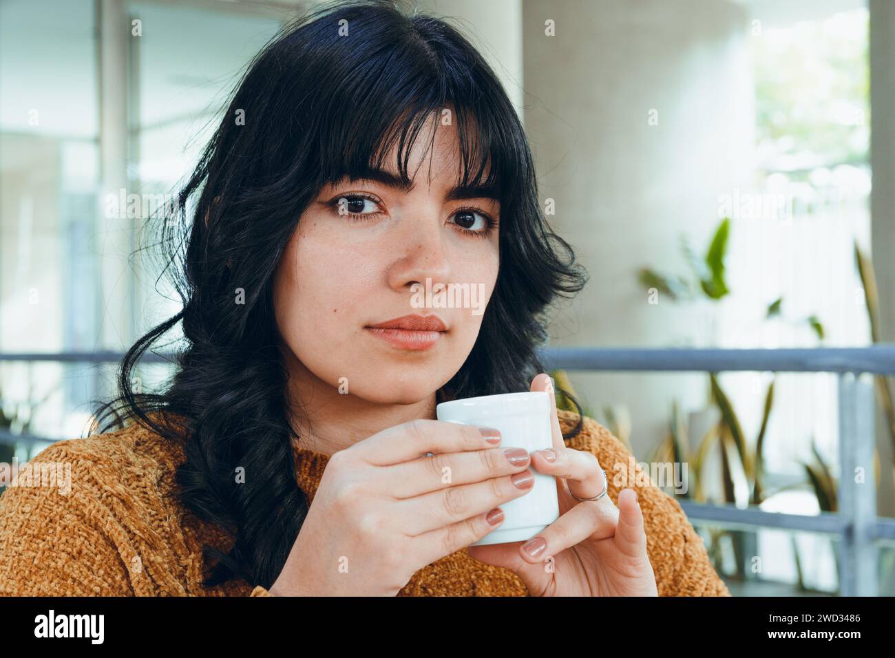 portrait of beautiful young Latin woman of Venezuelan ethnicity, calm in cafe sitting with cup ...