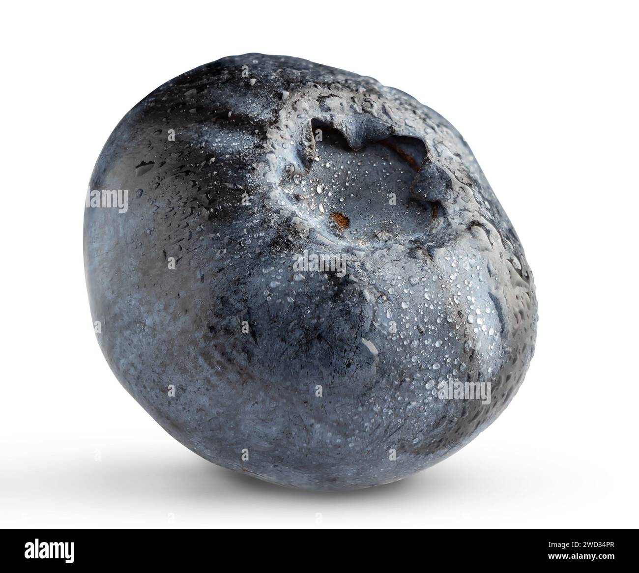 Side view one blueberry hi-res stock photography and images - Alamy