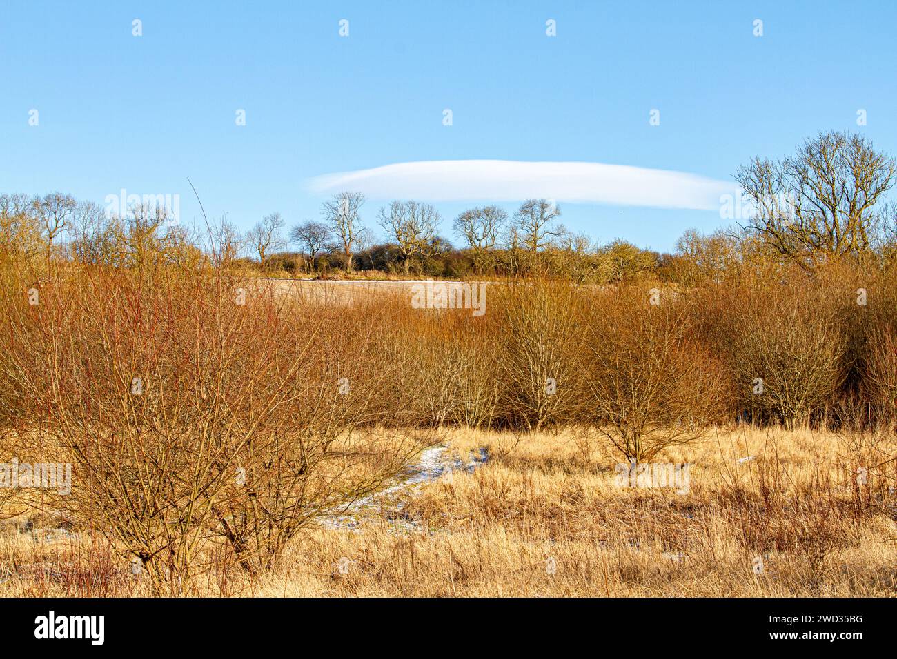 Snowfall dundee hi-res stock photography and images - Alamy