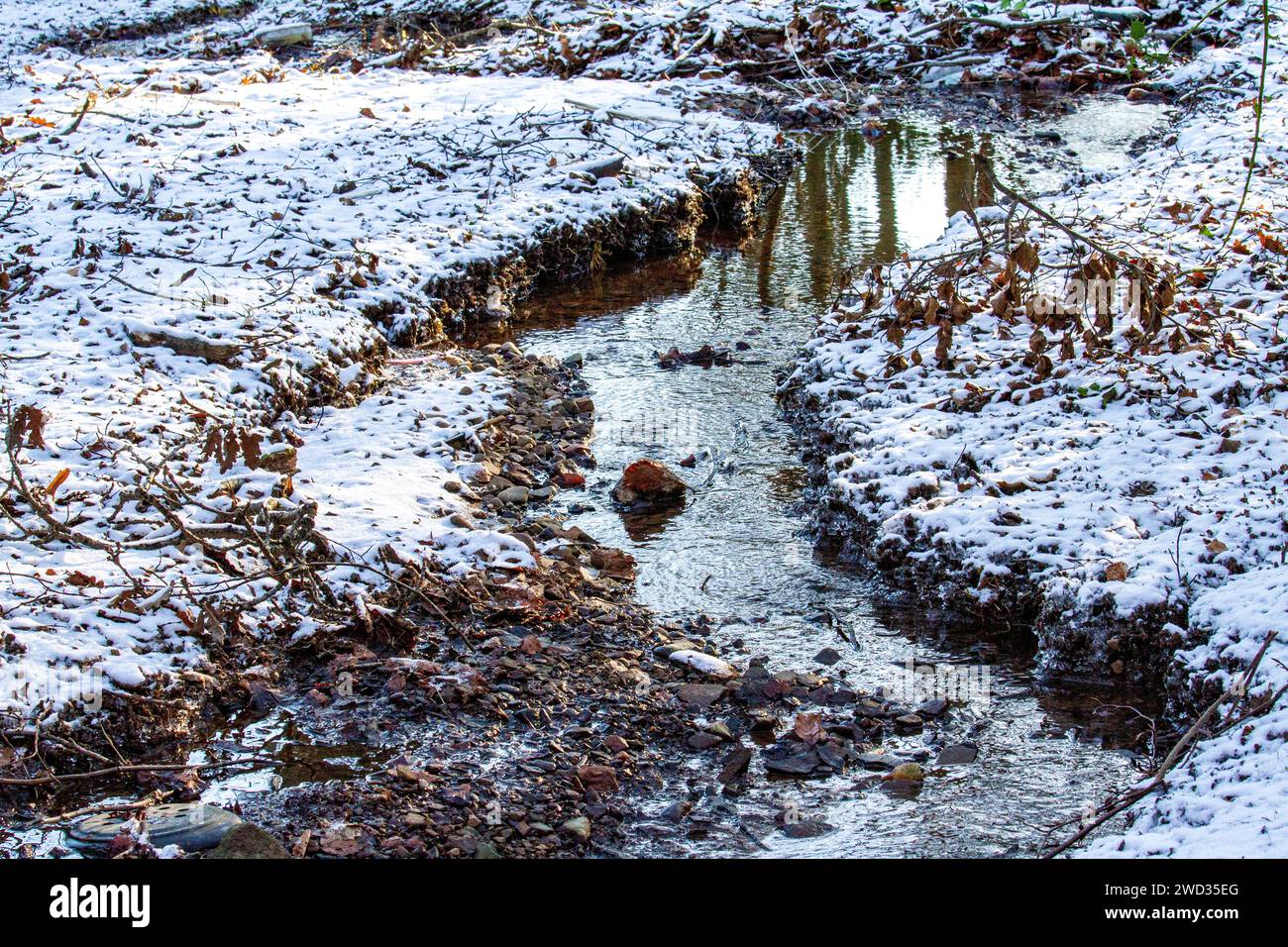 Dundee, Tayside, Scotland, UK. 18th Jan, 2024. UK Weather: Tayside is ...