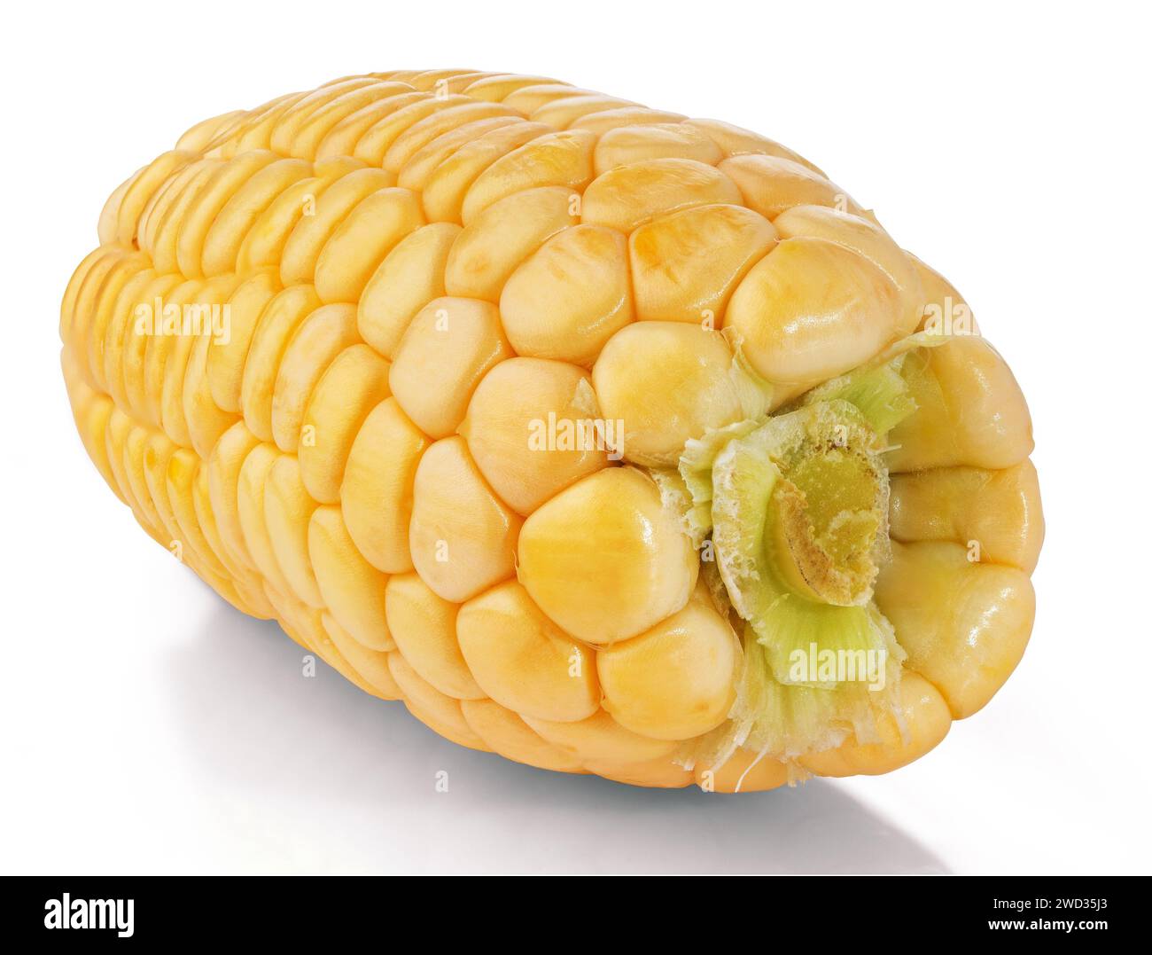 Fresh yellow corn isolated on white background Stock Photo - Alamy