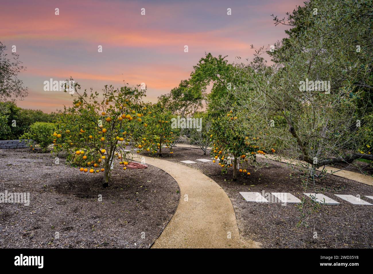 A scenic pathway meandering through a vibrant green field alongside a ...
