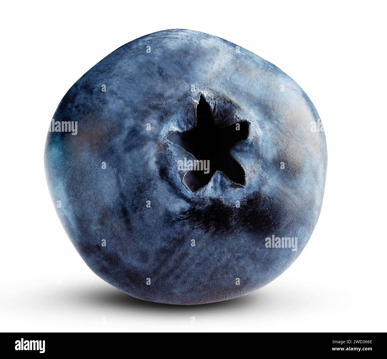 Blueberry isolated on white background Stock Photo - Alamy