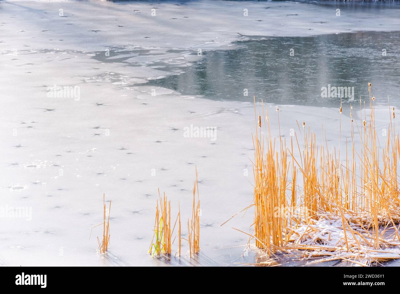 Winter in park, snow fairy tail, cold day Stock Photo - Alamy