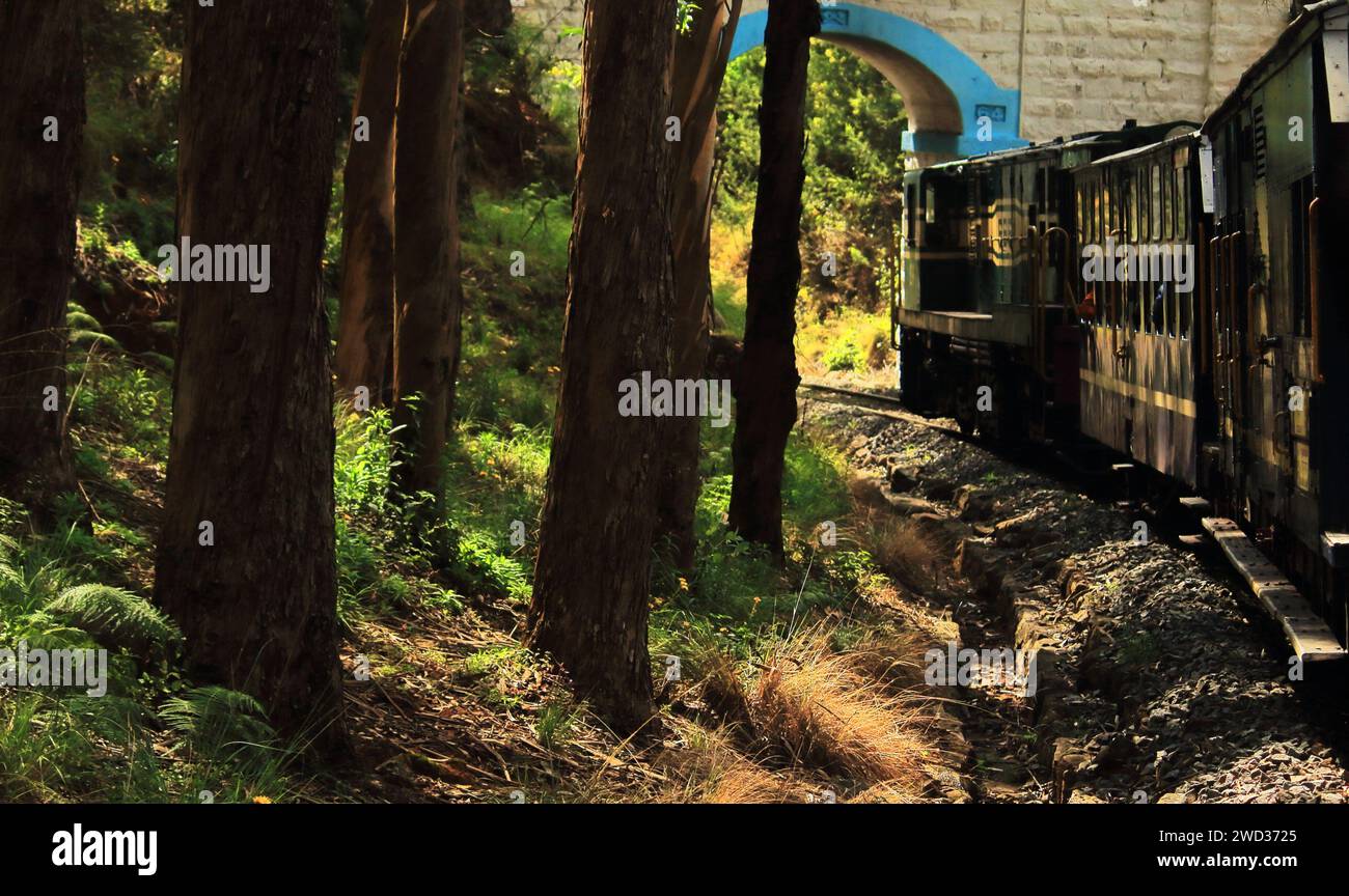 scenic railroad track of nilgiri mountain railway, beautiful toy train ...