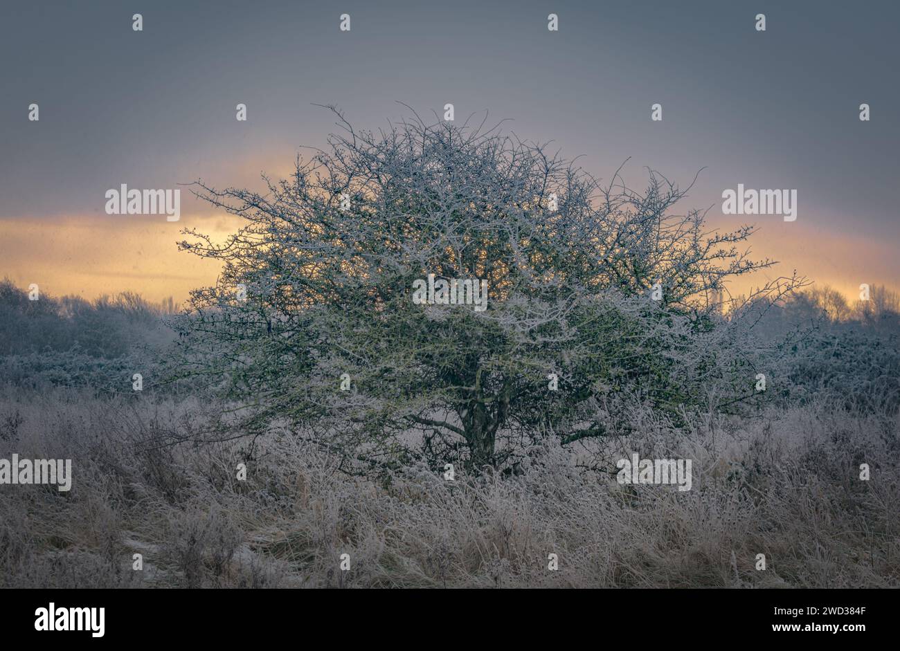 Blue greysky hi-res stock photography and images - Alamy