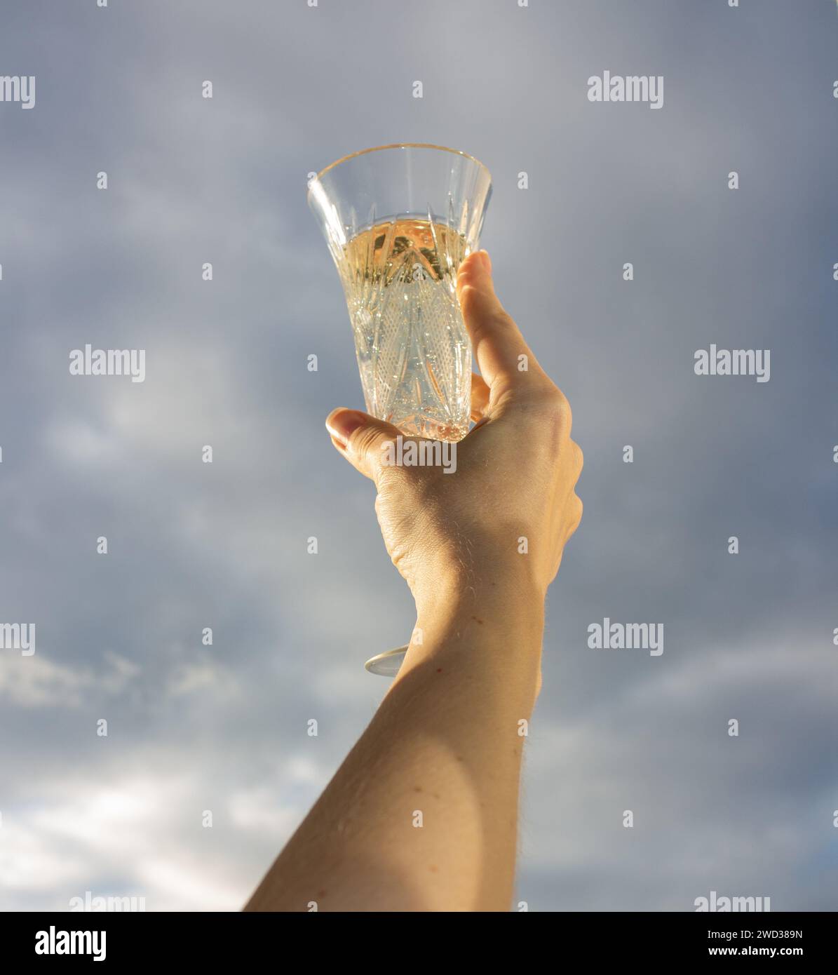 Glass of sparkling champagne Stock Photo - Alamy