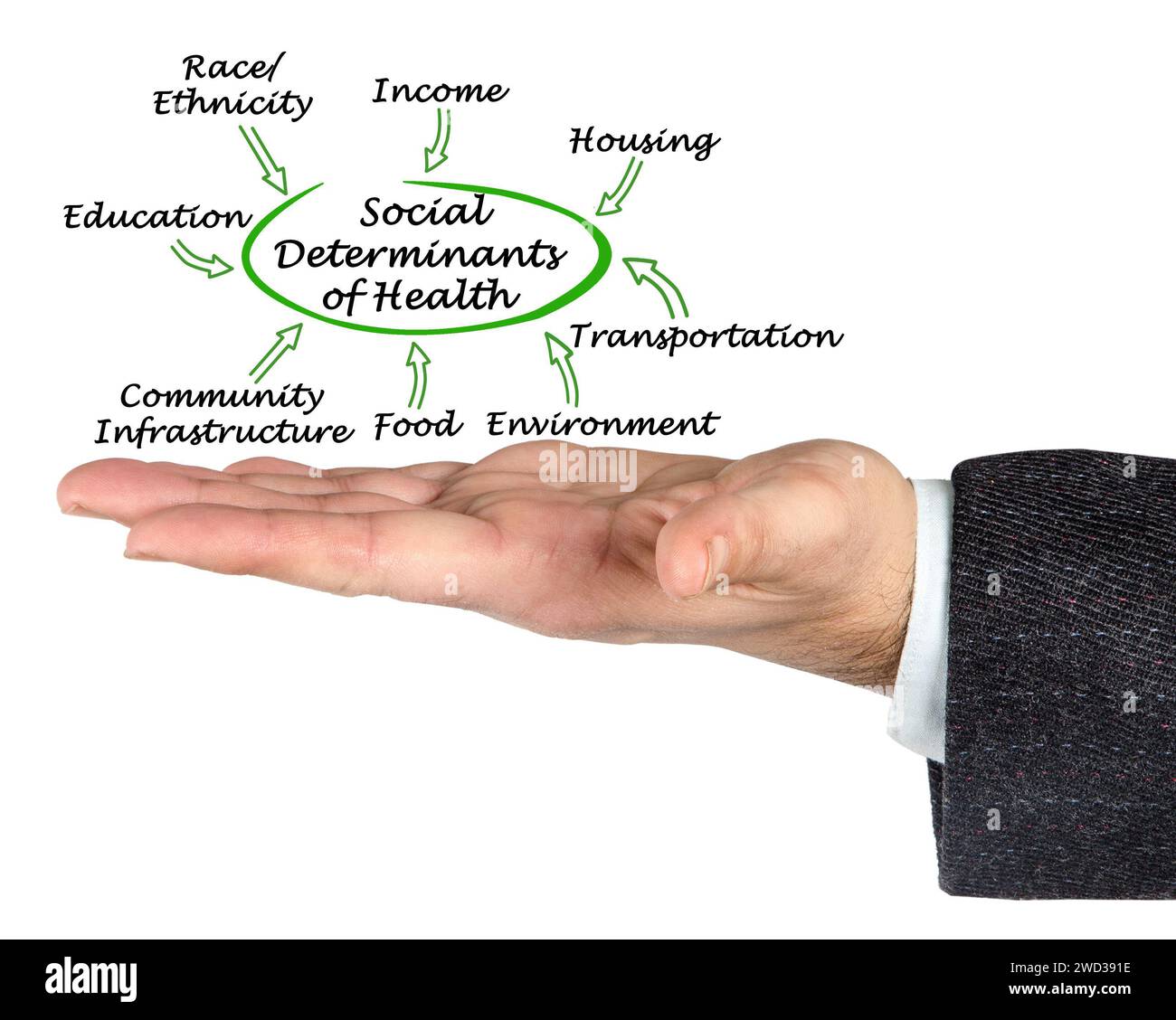 Social determinants of health hi-res stock photography and images - Alamy