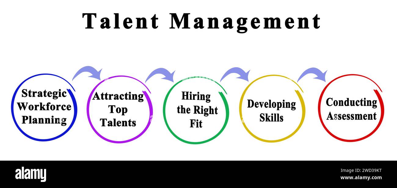 Five Components of Talent Management Stock Photo - Alamy