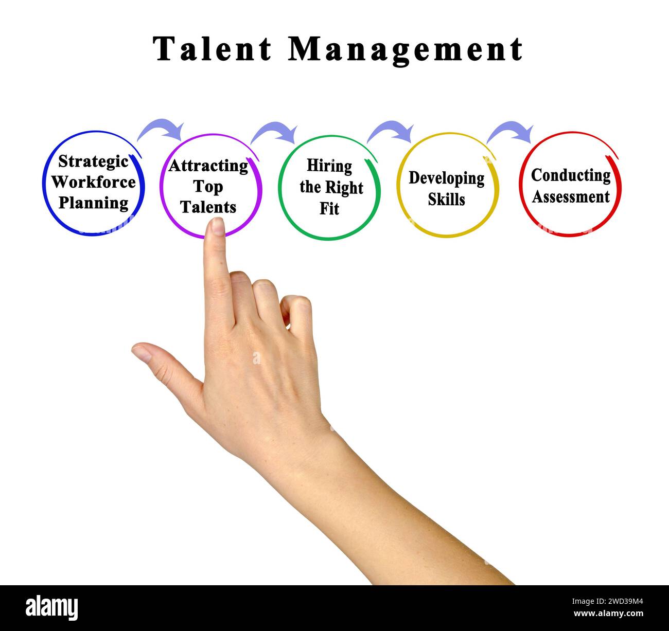 Five Components of Talent Management Stock Photo - Alamy