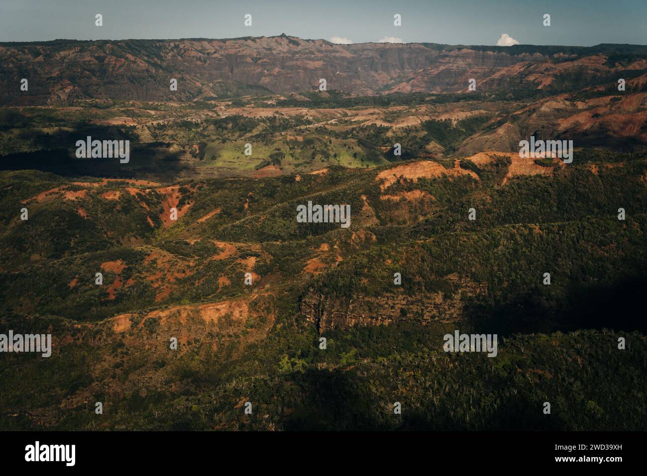 Aerial view of Waimea Canyon Grand Canyon of the Pacific on the western ...