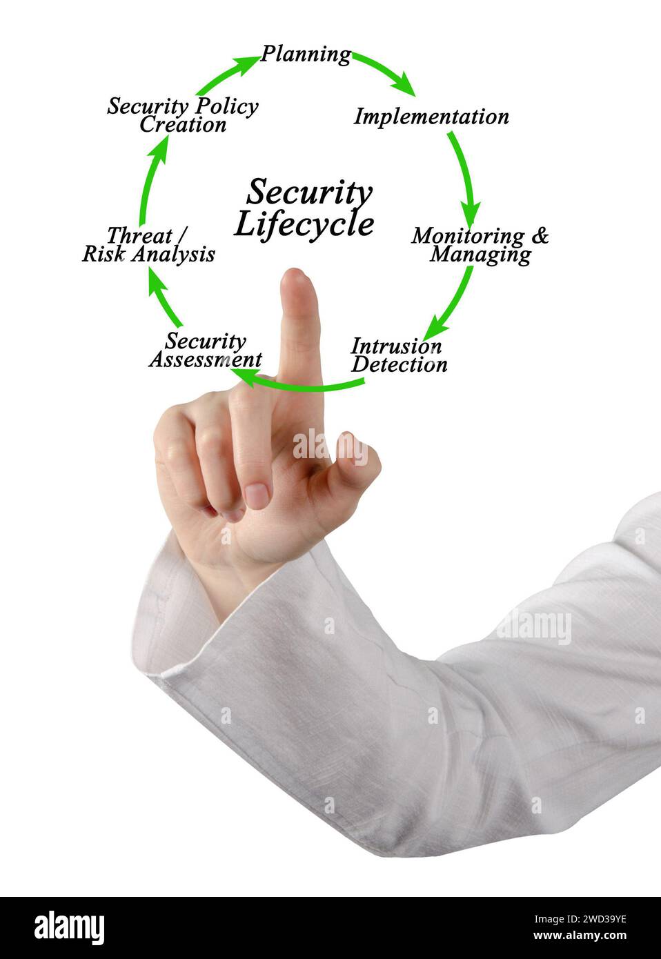 Seven Stages of Security Lifecycle Stock Photo - Alamy