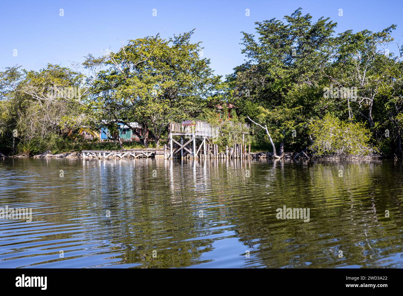 Belize, New River Stock Photo - Alamy