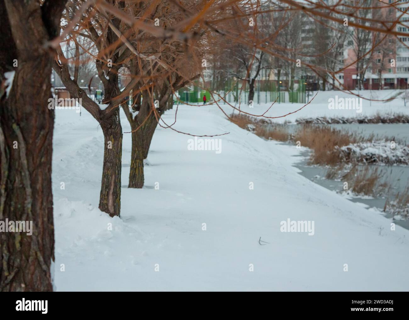 Winter landscape without snow hi-res stock photography and images - Alamy