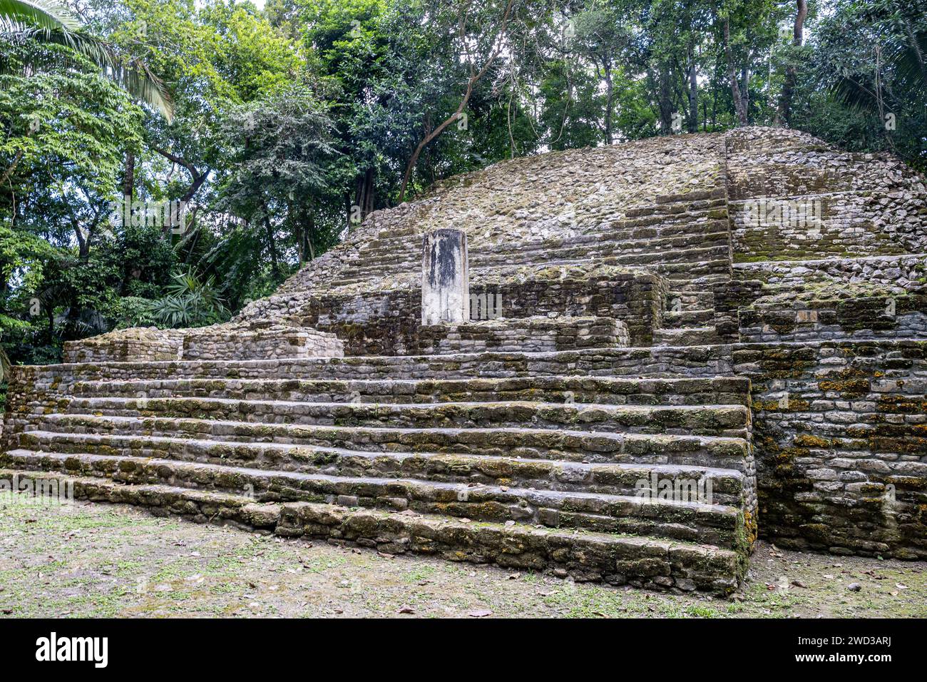 Belize, Lamanai, Maya Ruins, Estela 9, Stela 9 Stock Photo - Alamy