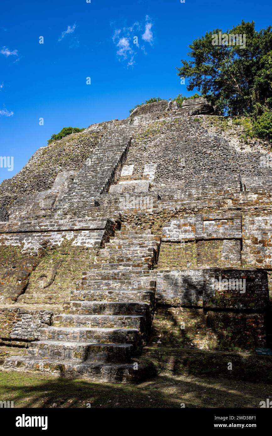 Belize, Lamanai, Maya Ruins, The High Temple Stock Photo - Alamy