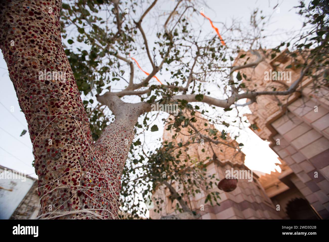 Koteshwar mahadev temple in lakhpat taluka, kutch district of gujarat ...