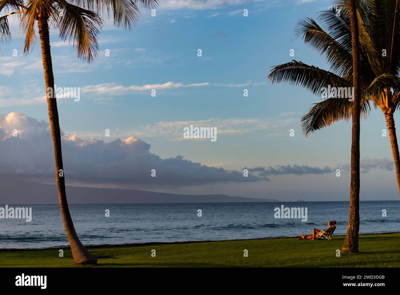 Sunset hawaii palm trees ocean hi-res stock photography and images - Alamy